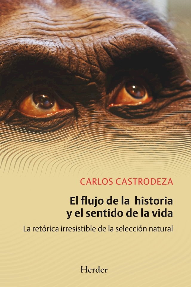 El flujo de la historia y el sentido de la vida - PChome 24h書店