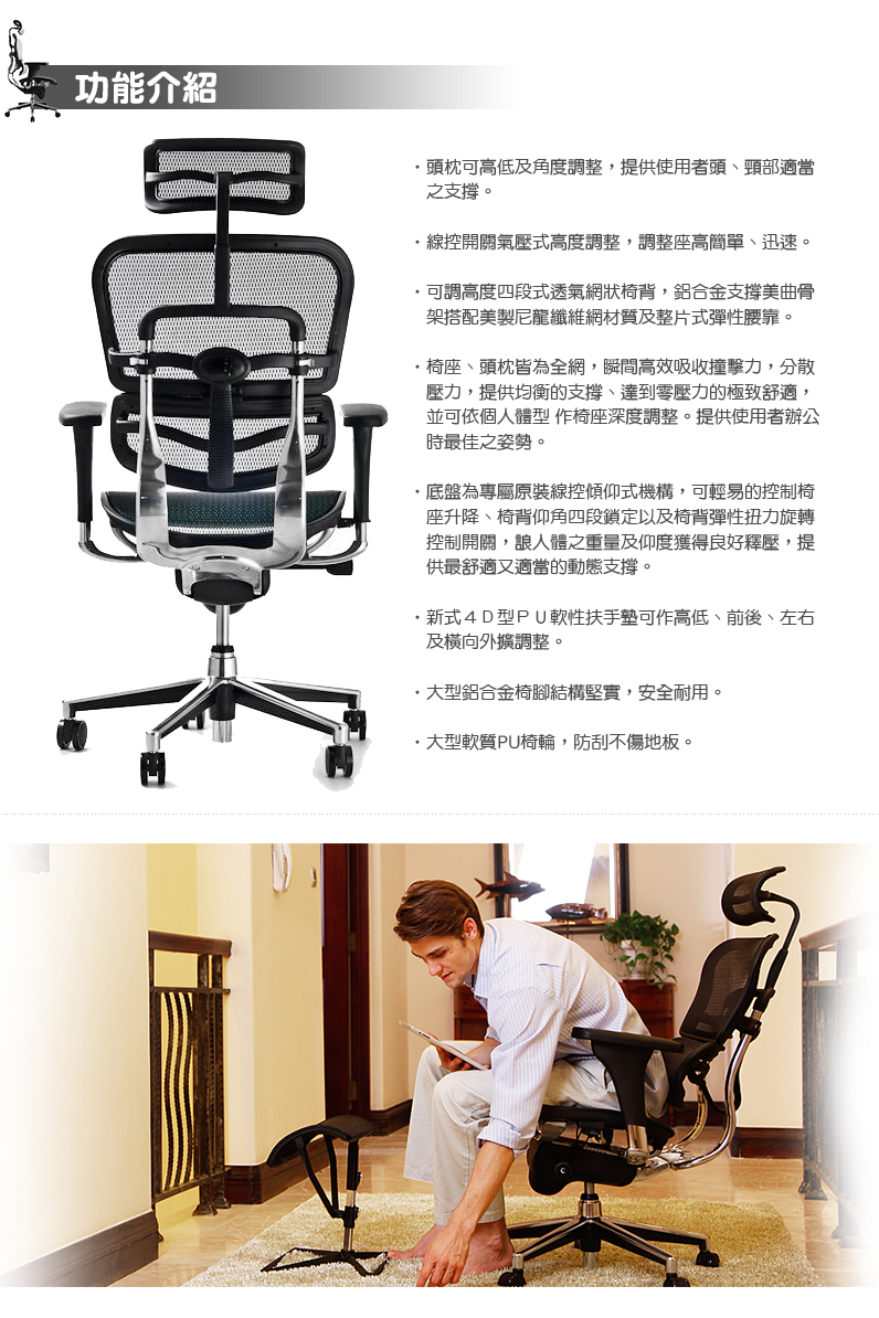 Ergohuman 111 豪華版 (EH-HAM) 人體工學透氣網椅 - PChome 24h購物