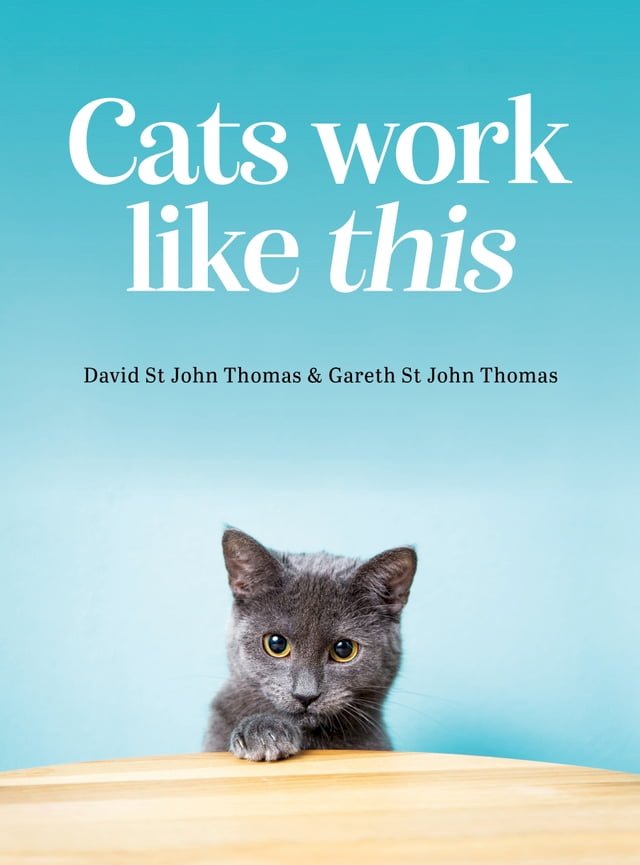 Cats Work Like This - PChome 24h書店