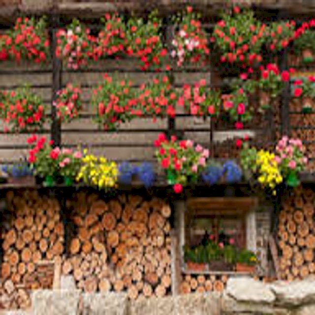 TUO PER SEMPRE - PChome 24h書店